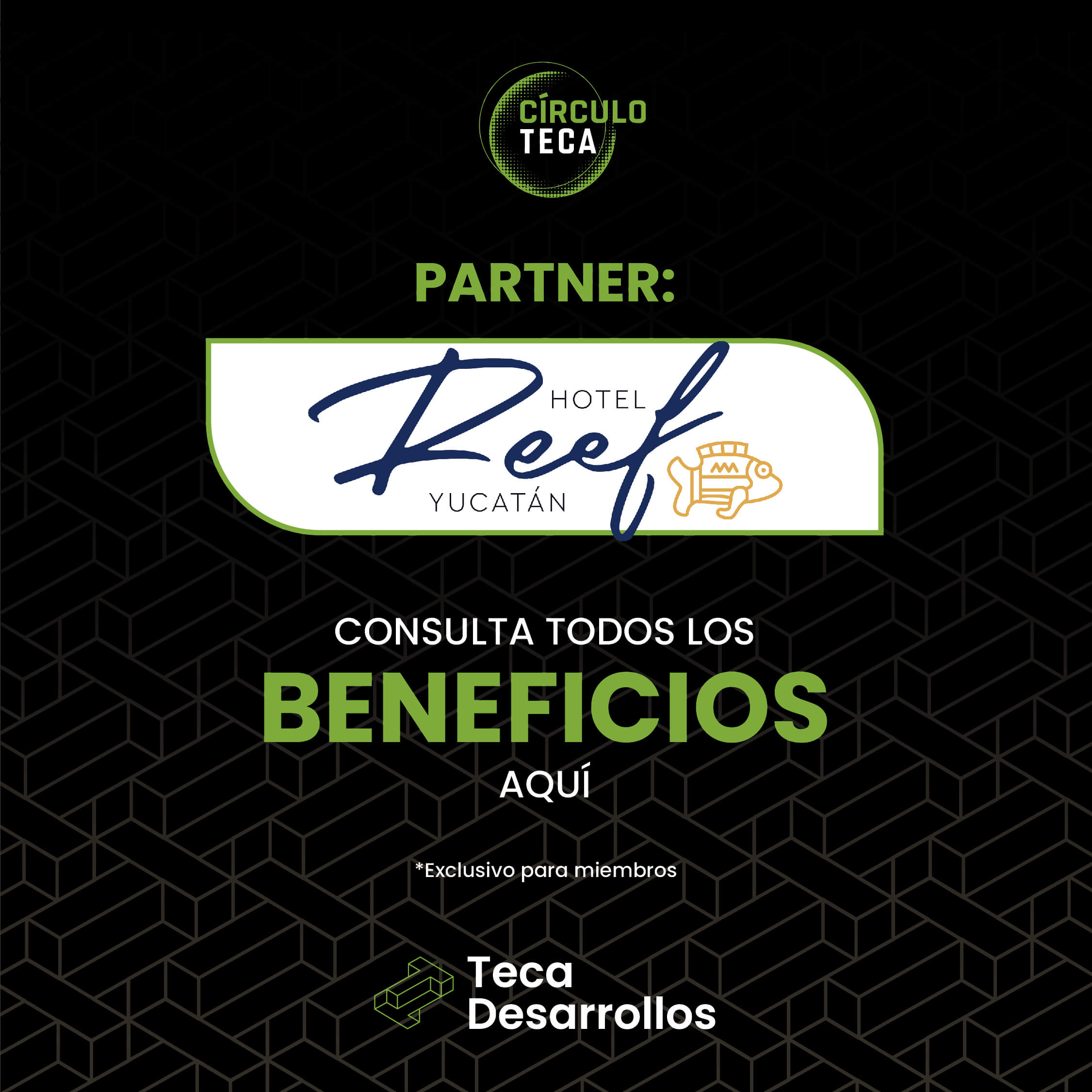 Club de Inversionistas TECA | Teca Desarrollos